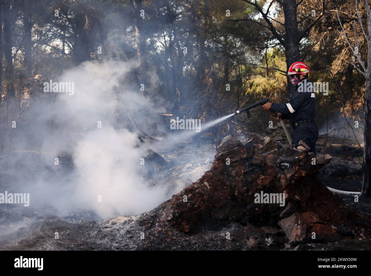 25.08.2016., Mucici, Croatia - 88 firefighters held fire under control ...