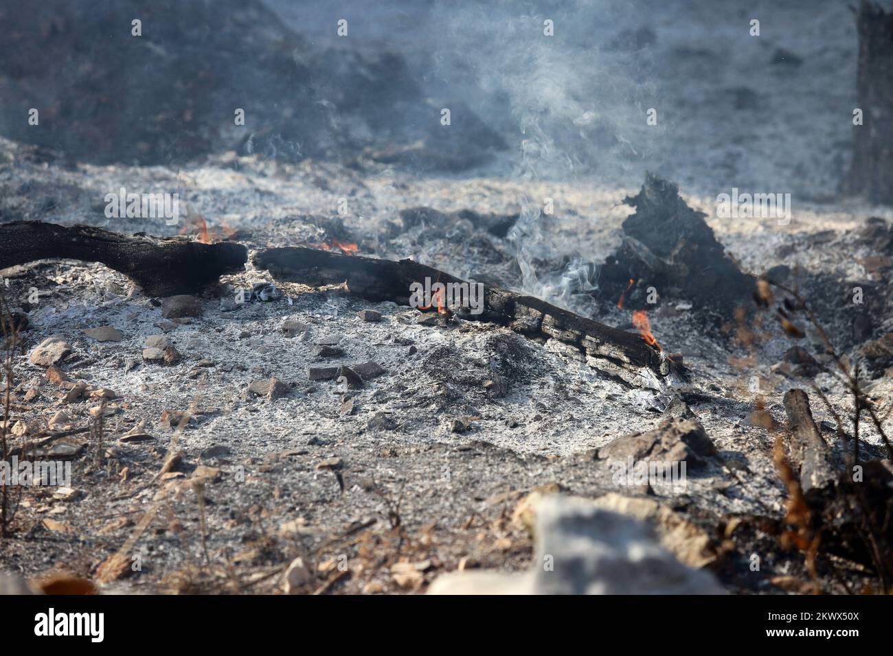 25.08.2016., Mucici, Croatia - 88 firefighters held fire under control ...