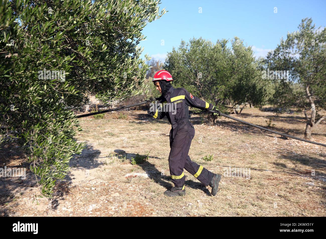 25.08.2016., Mucici, Croatia - 88 firefighters held fire under control ...
