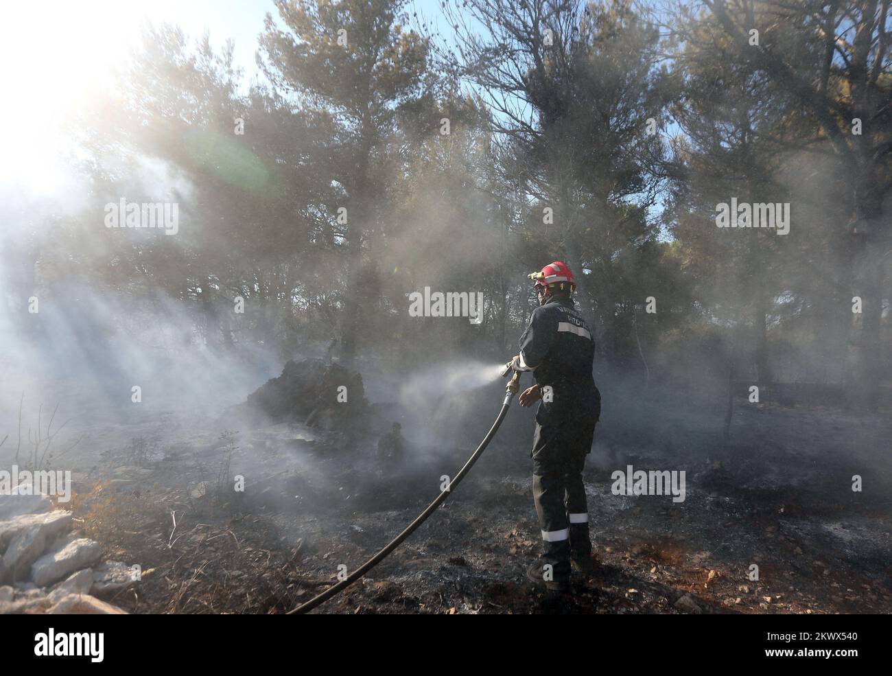 25.08.2016., Mucici, Croatia - 88 firefighters held fire under control ...