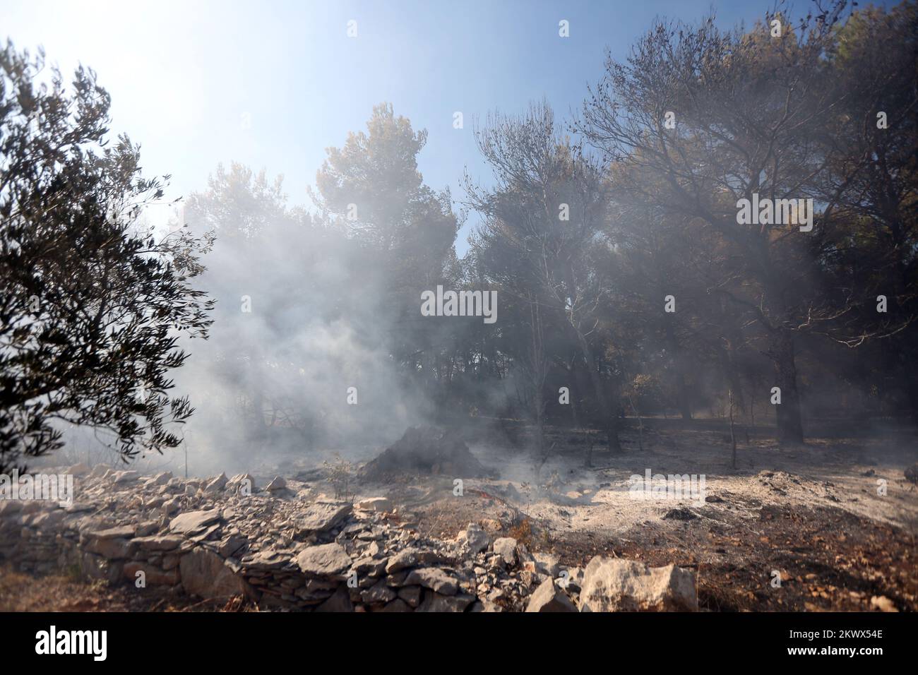 25.08.2016., Mucici, Croatia - 88 firefighters held fire under control ...