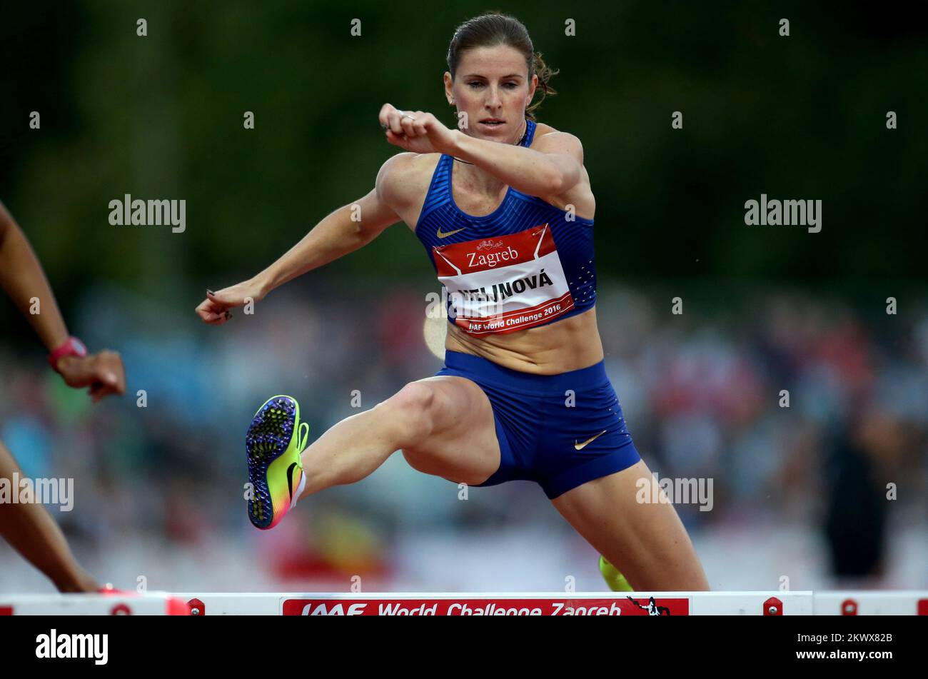 06.09.2015., Zagreb, Croatia - IAAF World Challenge Zagreb, 66th Boris ...