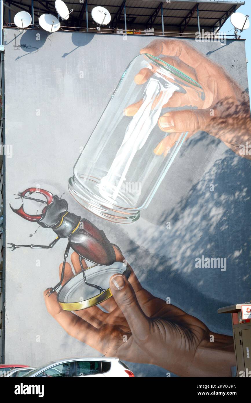 13.09.2016., Sisak, Croatia - A giant mural has just been completed in ...