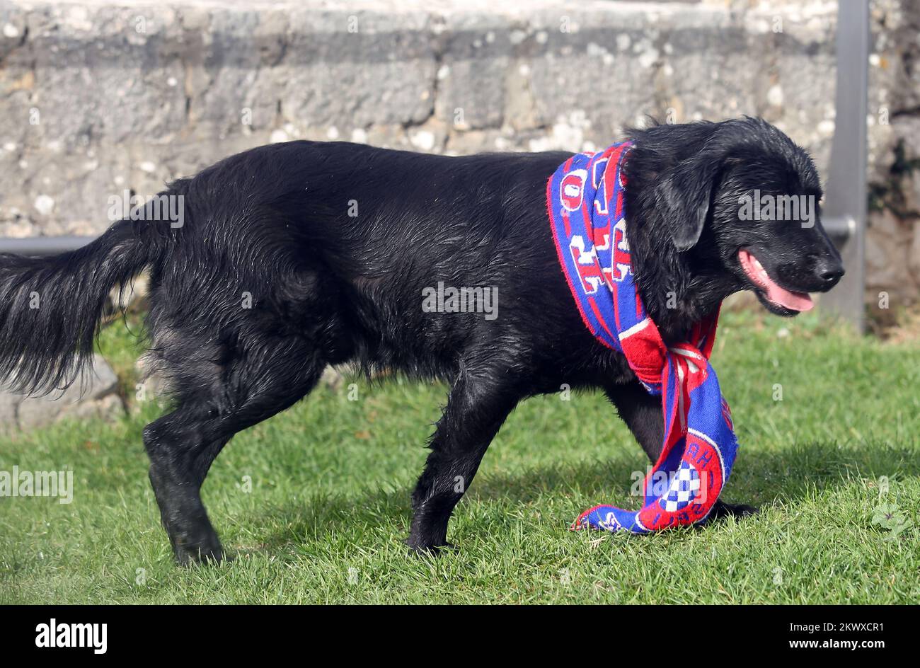 Photographing HNK Hajduk players Fran Tudor and Zvonimir Kozulj with ...