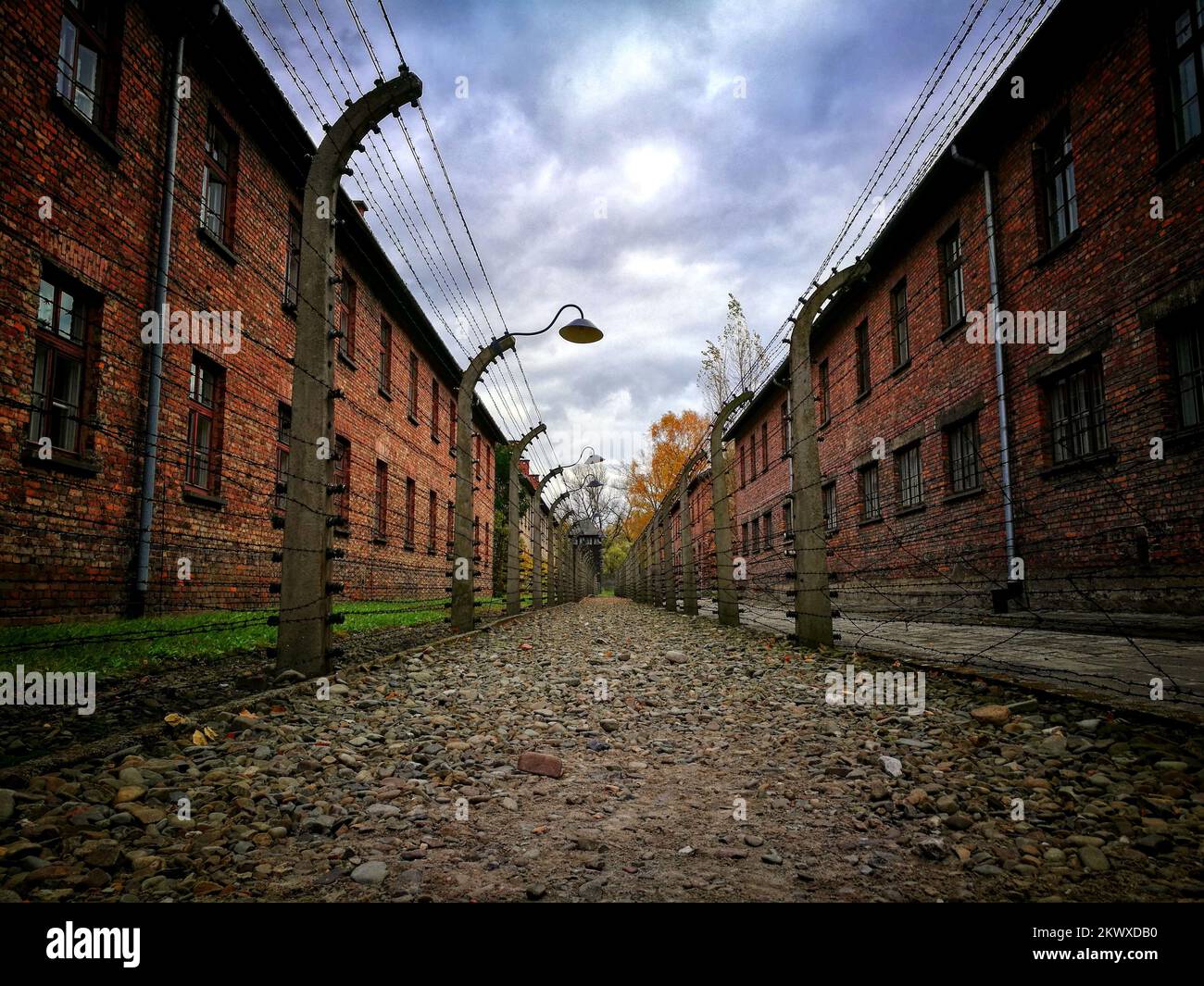 Auschwitz concentration camp, a network of German Nazi concentration ...