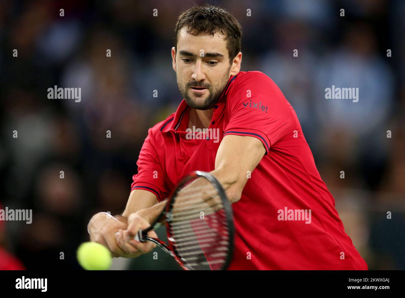 25.11.2016., Arena Zagreb, Zagreb - Davis Cup finals, Croatia ...
