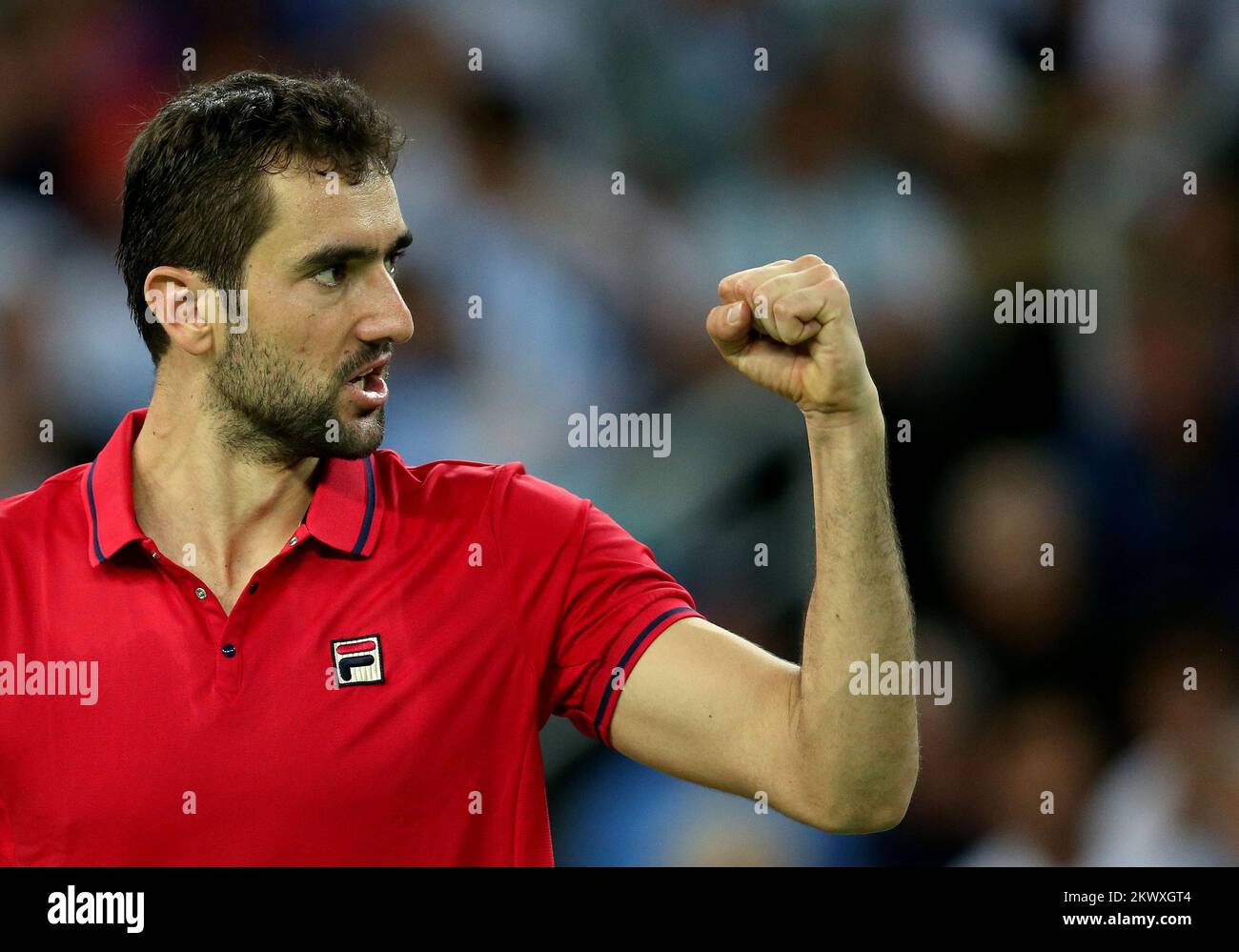 Marin Cilic vs Juan Martin Del Potro, Marin Cilic during the 2016 Davis ...