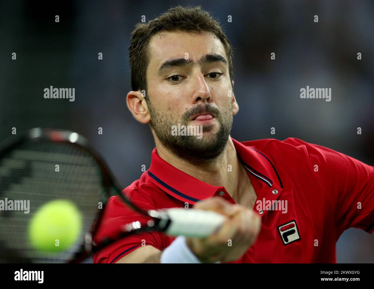 Marin Cilic vs Juan Martin Del Potro, Marin Cilic during the 2016 Davis ...