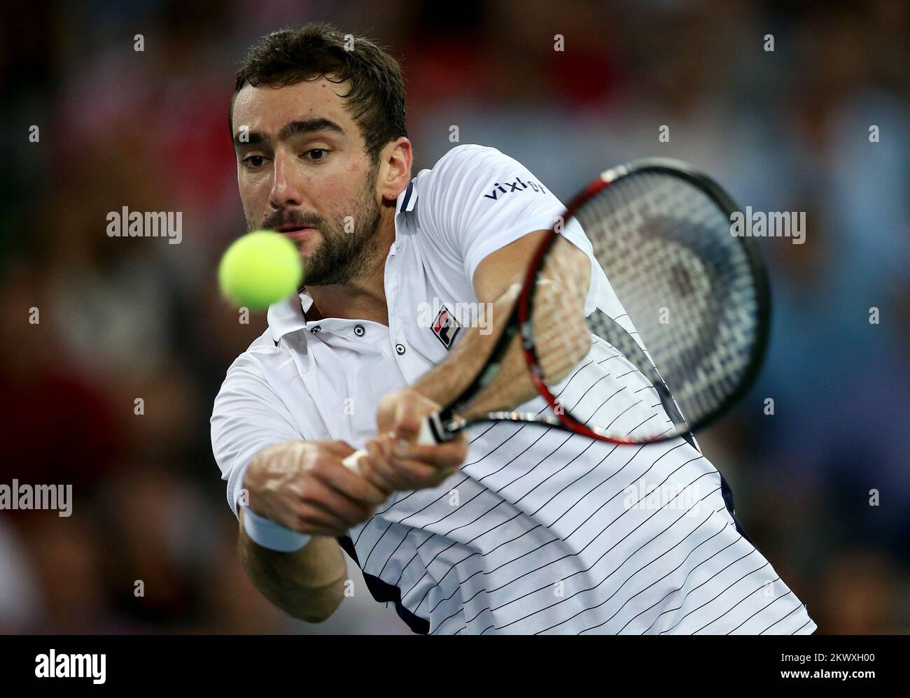 Marin Cilic vs Juan Martin Del Potro, Marin Cilic during the 2016 Davis ...