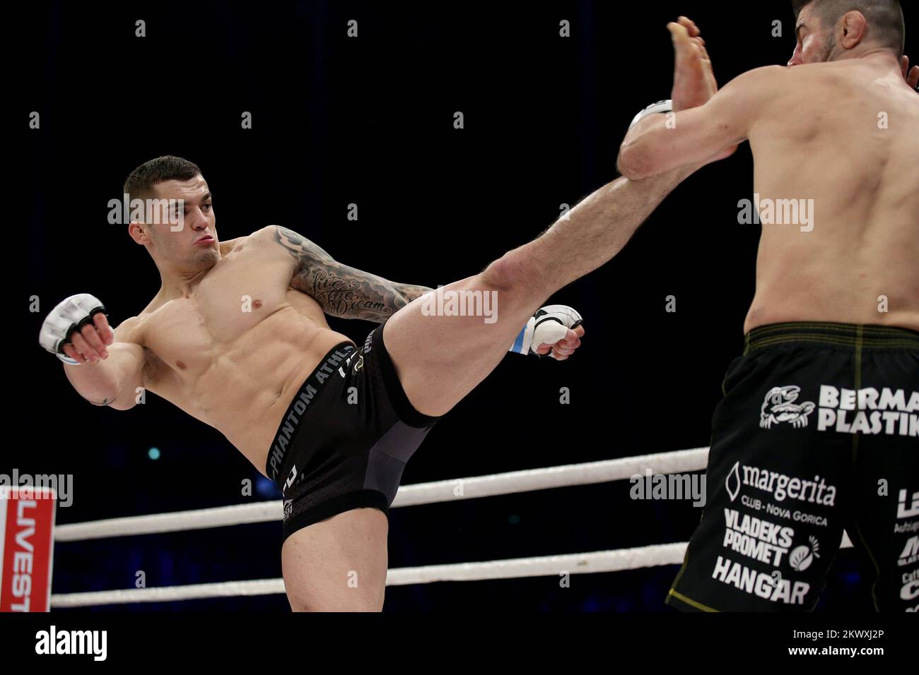 Night of Champions with 22 fighters in matches were fighting according ...