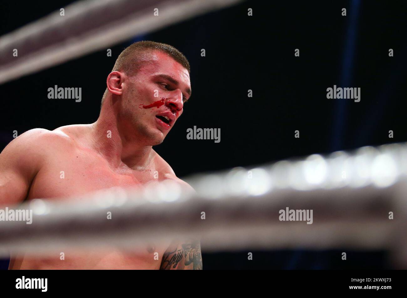 Dion staring hi-res stock photography and images - Alamy