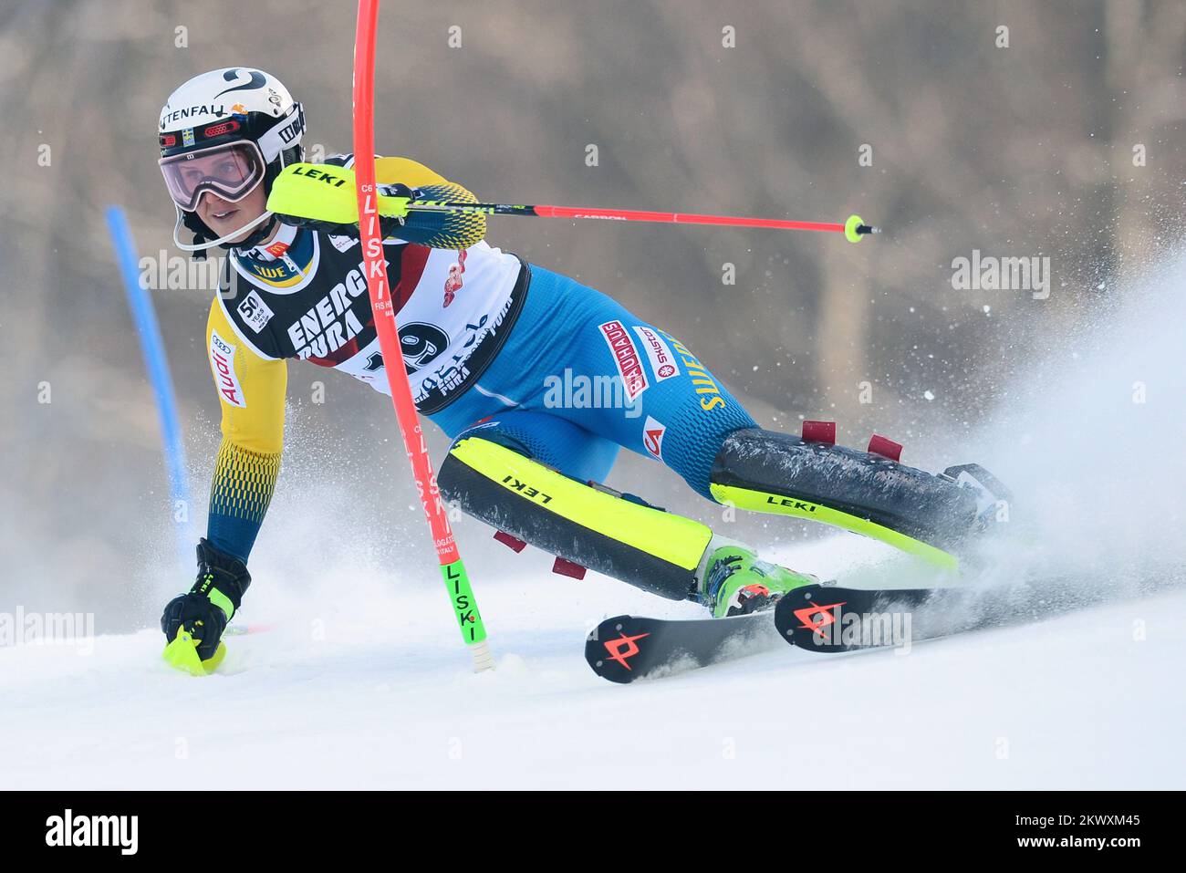 03.01.2017., Croatia, Sljeme, Zagreb - The first run of the female ...