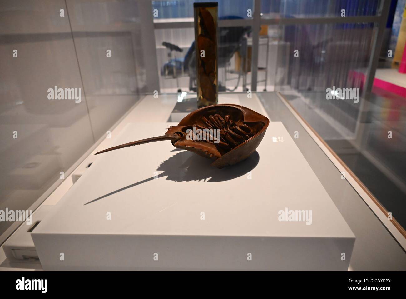 A free exhibition Injecting Hope opened today at the Science Museum ...