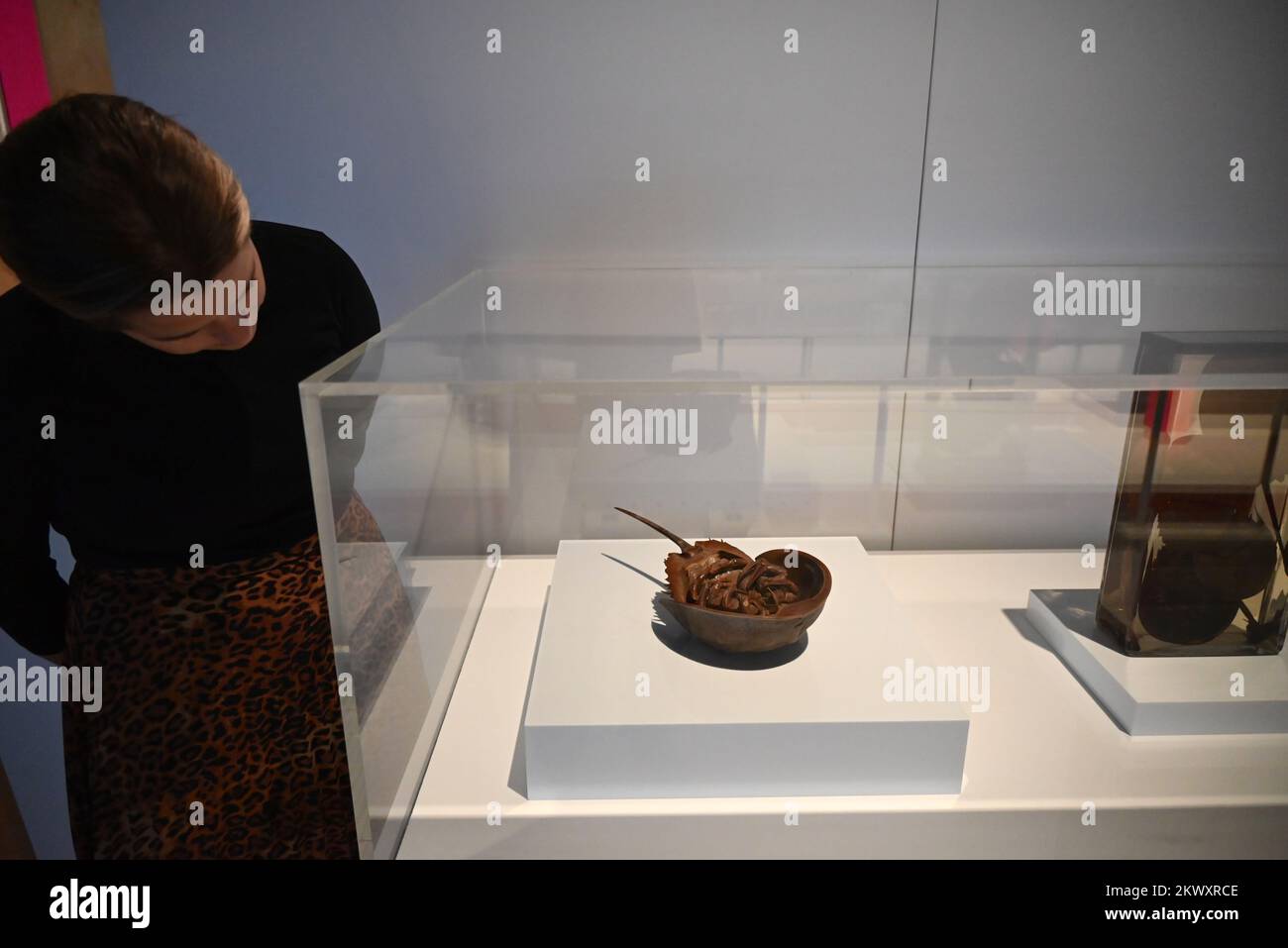 A free exhibition Injecting Hope opened today at the Science Museum ...
