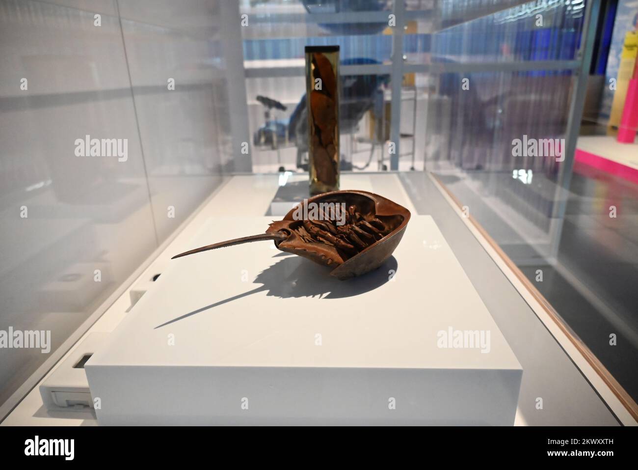 A free exhibition Injecting Hope opened today at the Science Museum ...