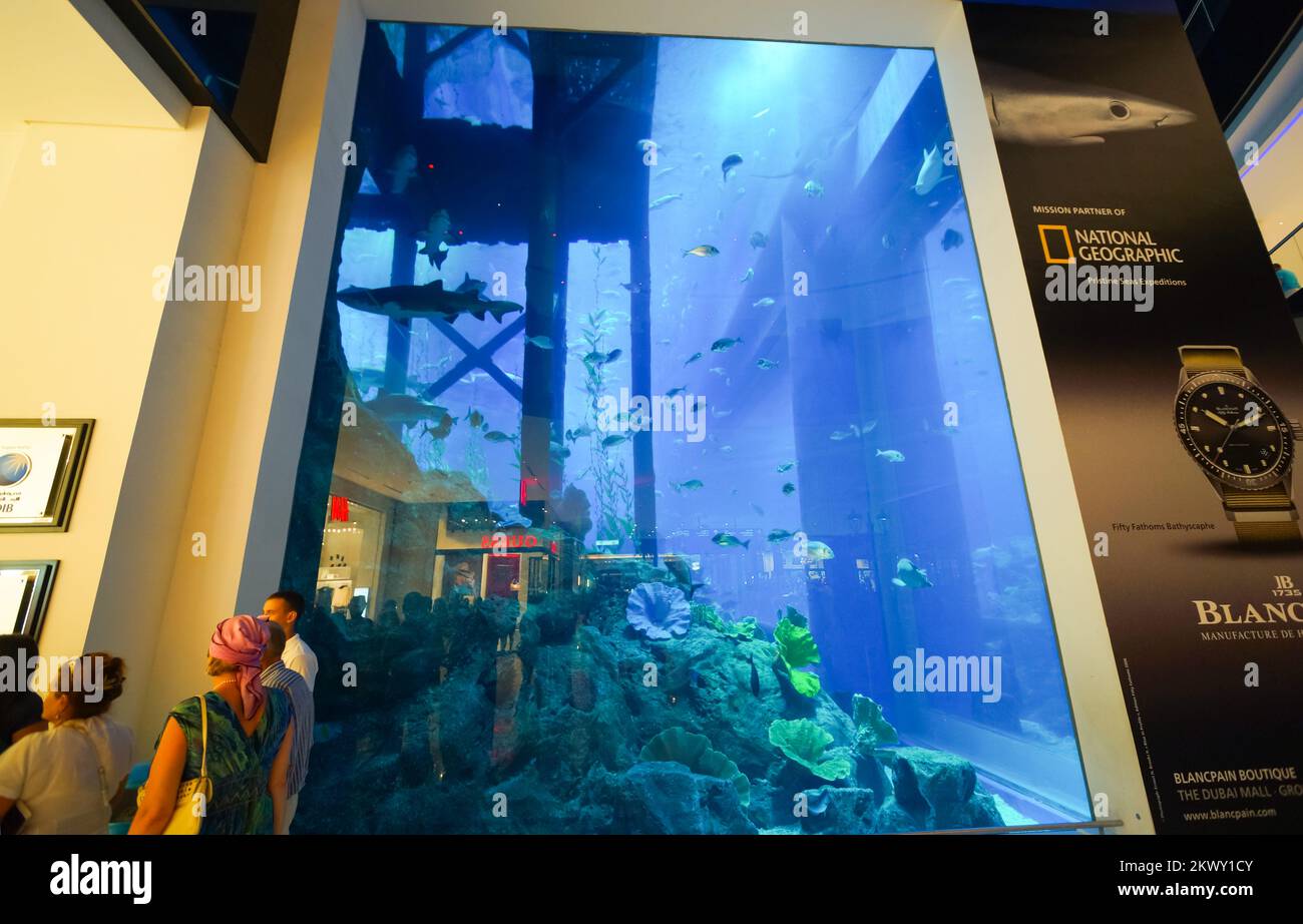 DUBAI, UAE - OCT 13: The Dubai Aquarium & Underwater Zoo in Dubai Mall ...