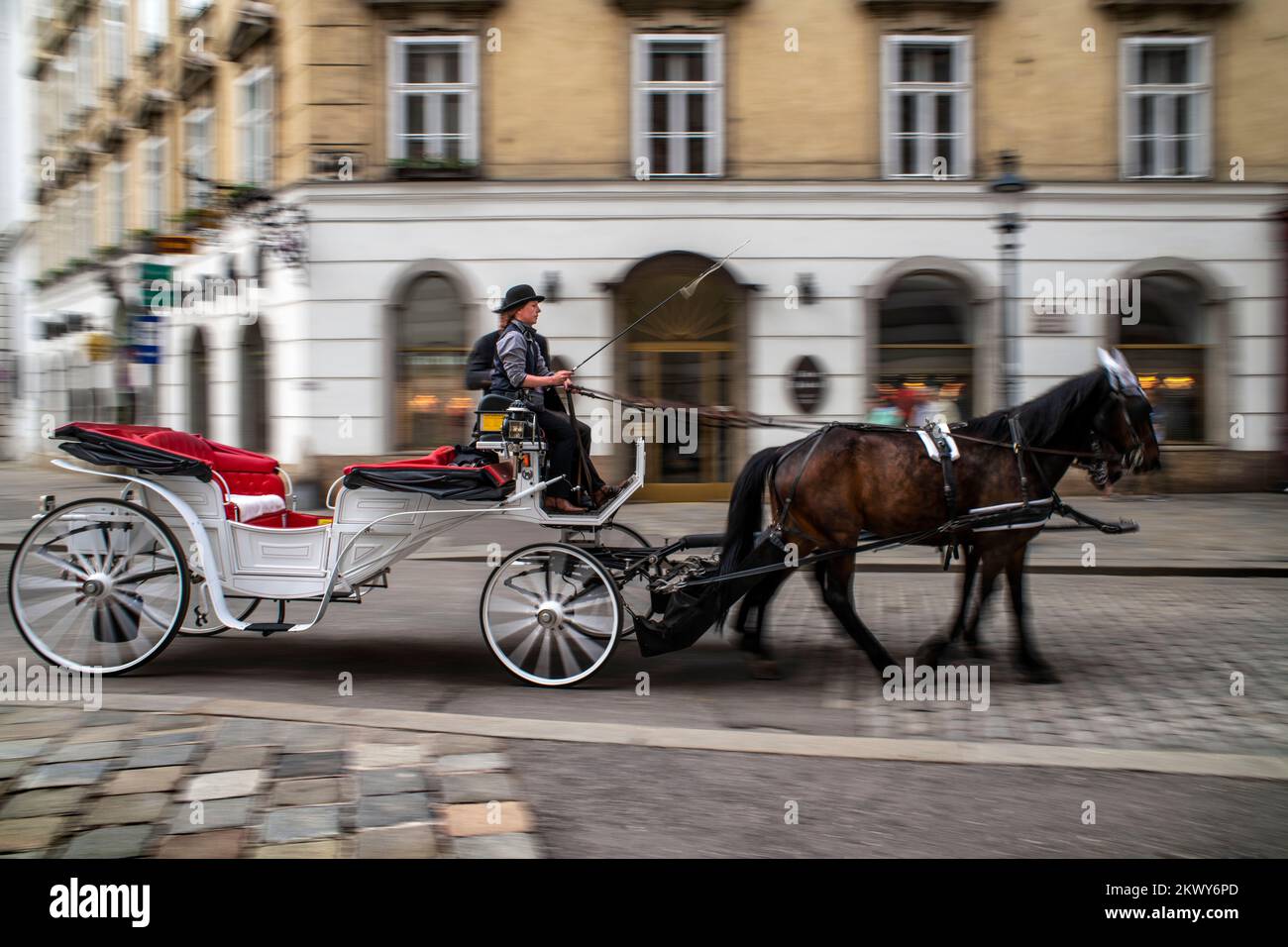 Vienna Fiaker, horse drawn carriage in the city center of Vienna ...