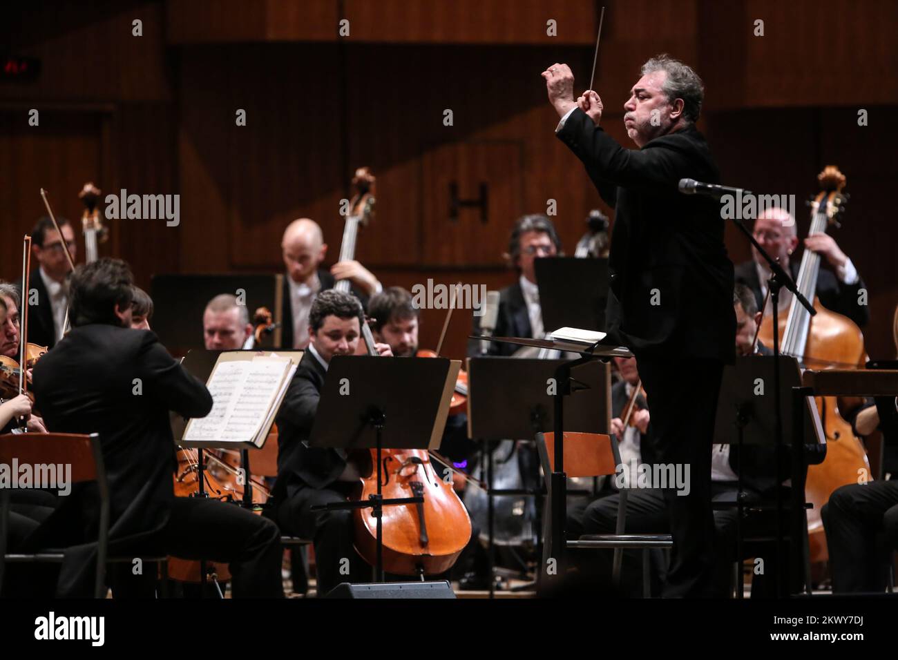 Kakatos hi-res stock photography and images - Alamy