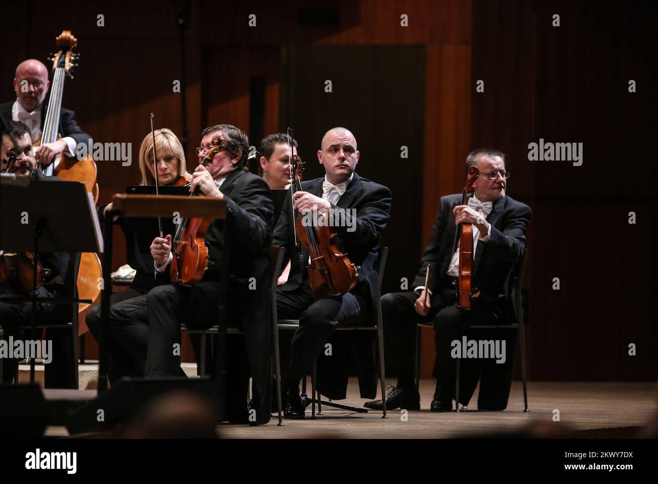 Kakatos hi-res stock photography and images - Alamy