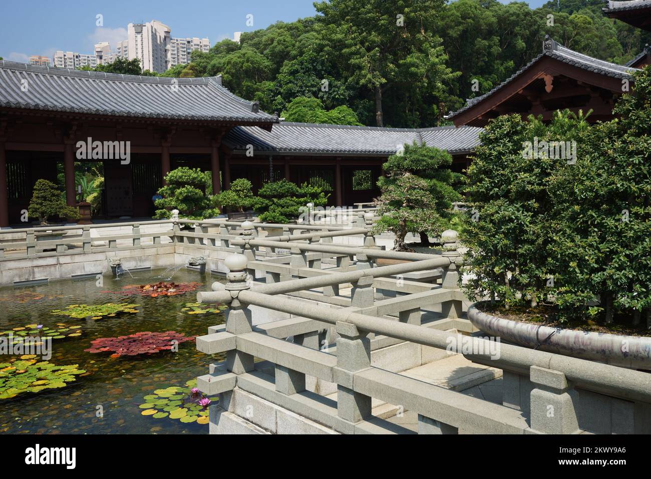 Public Nan Lian Garden with Chi Lin Nunnery, Diamond Hills, Hong Kong ...