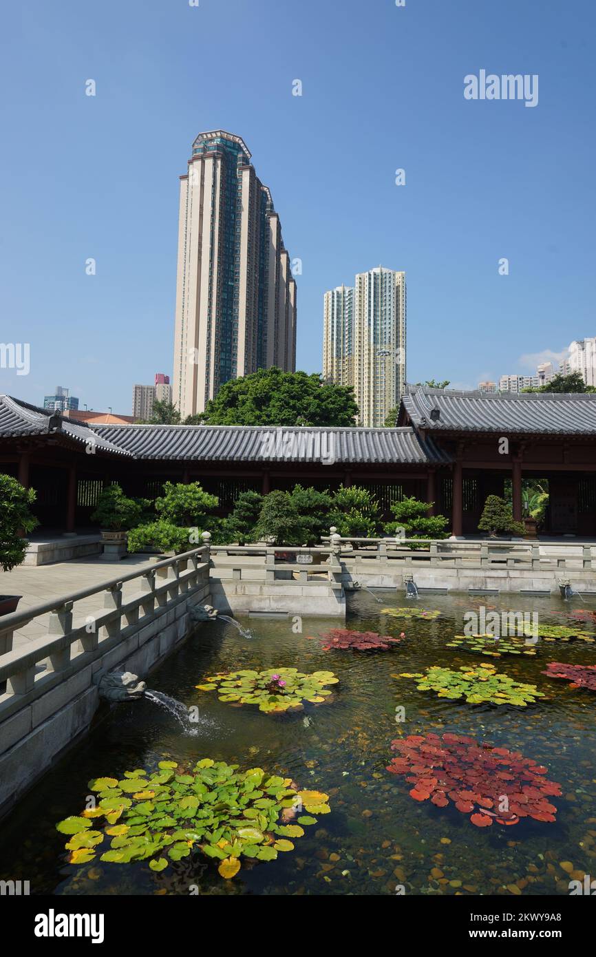 Public Nan Lian Garden with Chi Lin Nunnery, Diamond Hills, Hong Kong ...