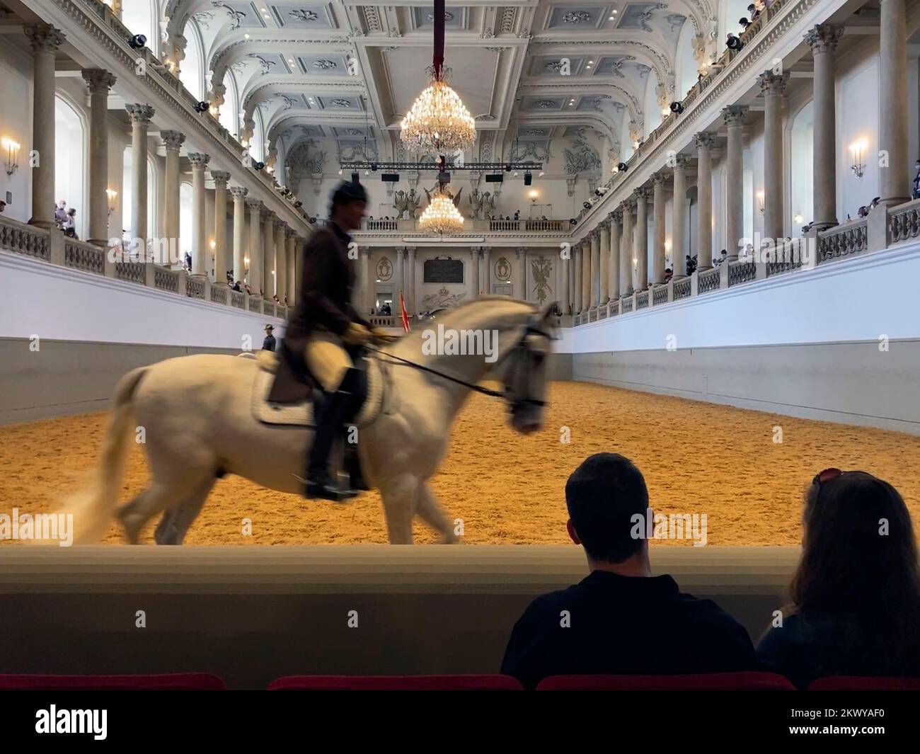 Spanische reitschule horses hi-res stock photography and images - Alamy