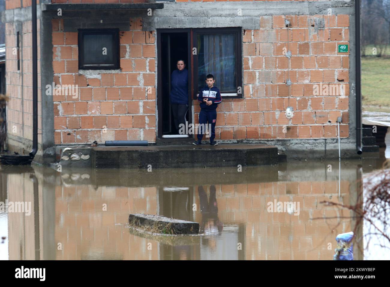 Usora hi-res stock photography and images - Alamy