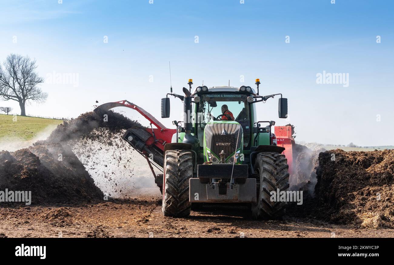 Turning a manure heap over to make compost to spread on farmland, which ...