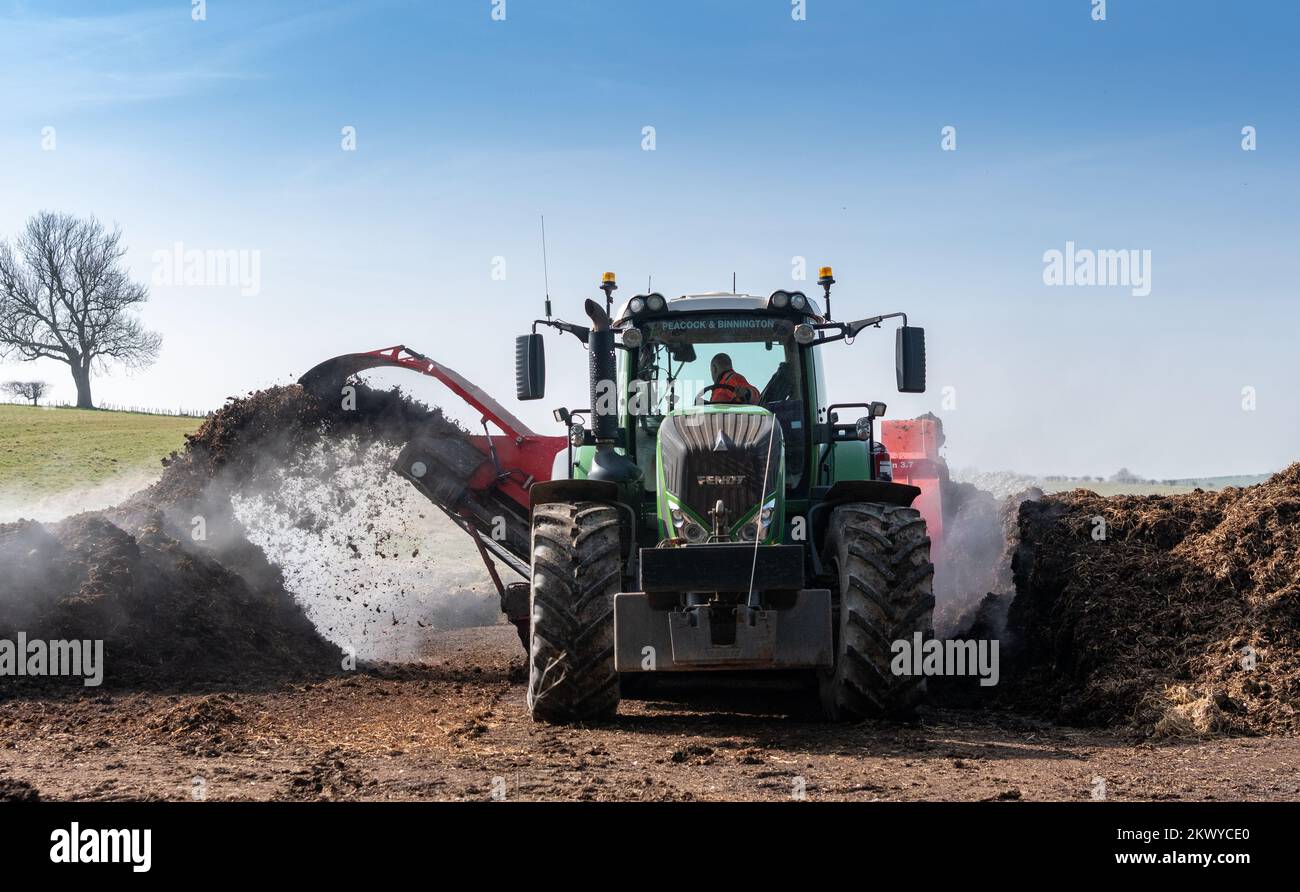 Turning a manure heap over to make compost to spread on farmland, which ...
