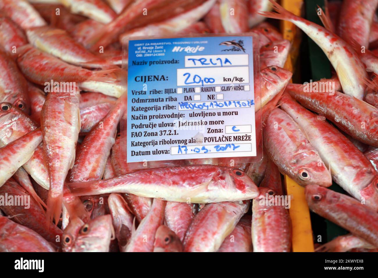 18.03.2017., Split, Croatia - The offer of fresh fish in the fish ...