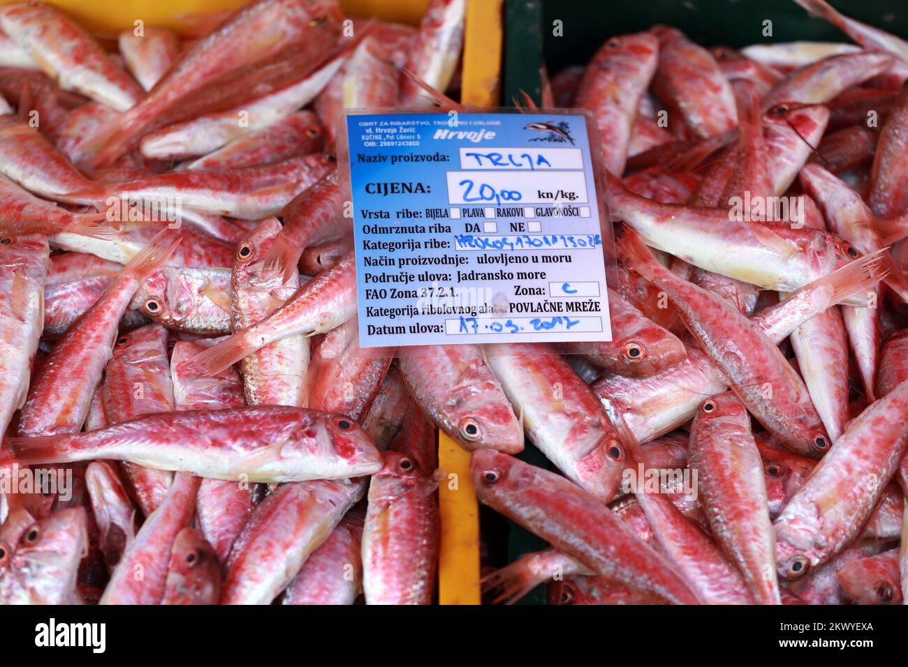 18.03.2017., Split, Croatia - The offer of fresh fish in the fish ...