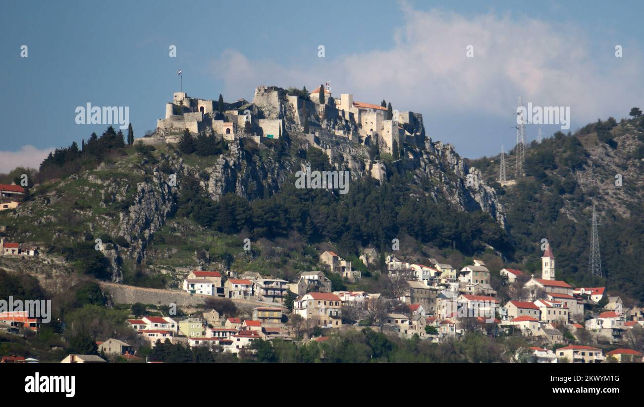 Dalmatae hi-res stock photography and images - Alamy