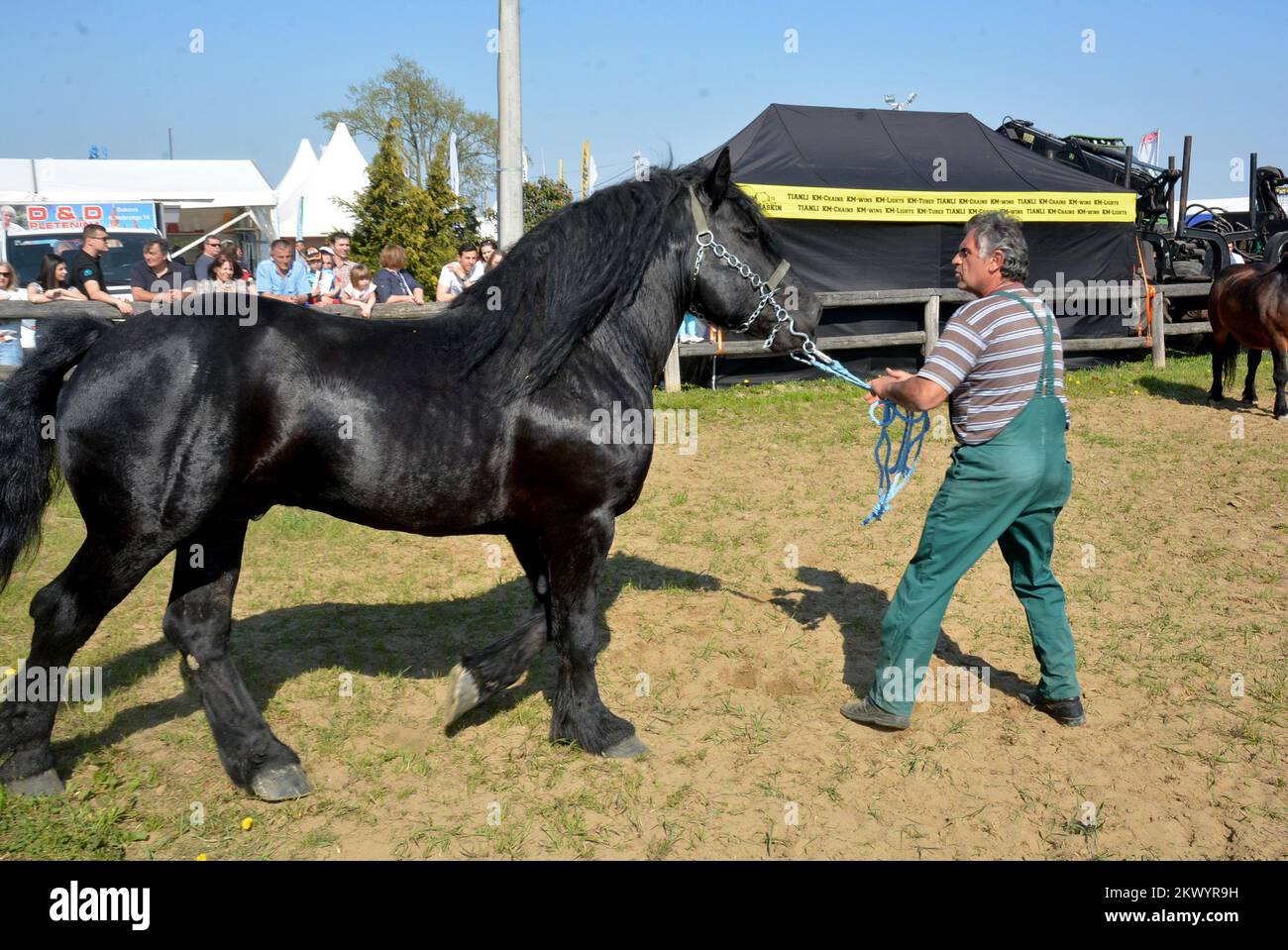 Mala pisanica hi-res stock photography and images - Alamy