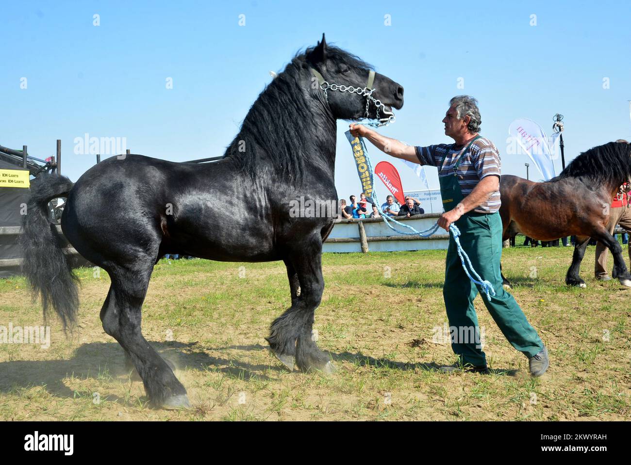 Mala pisanica hi-res stock photography and images - Alamy