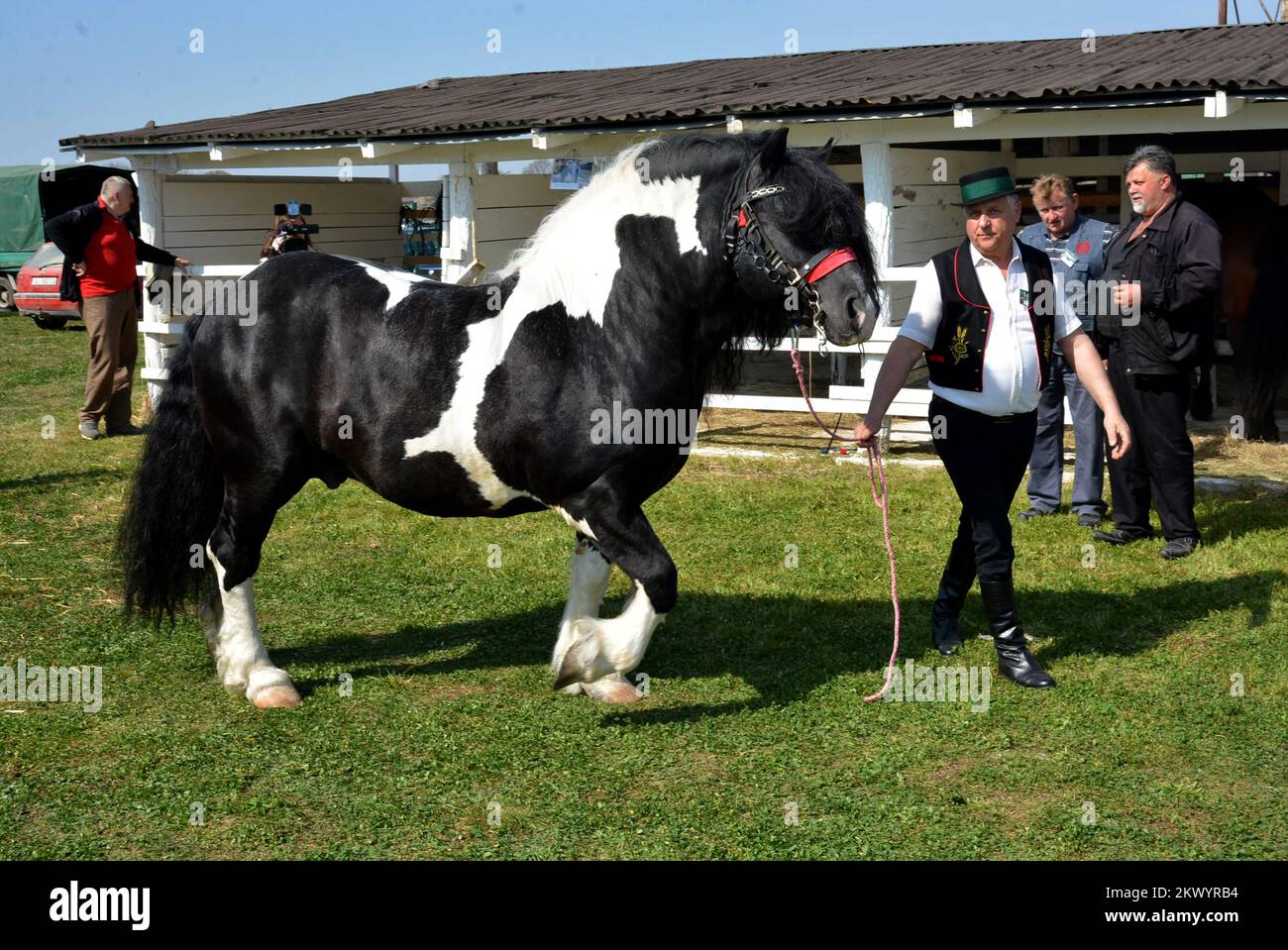 Mala pisanica hi-res stock photography and images - Alamy