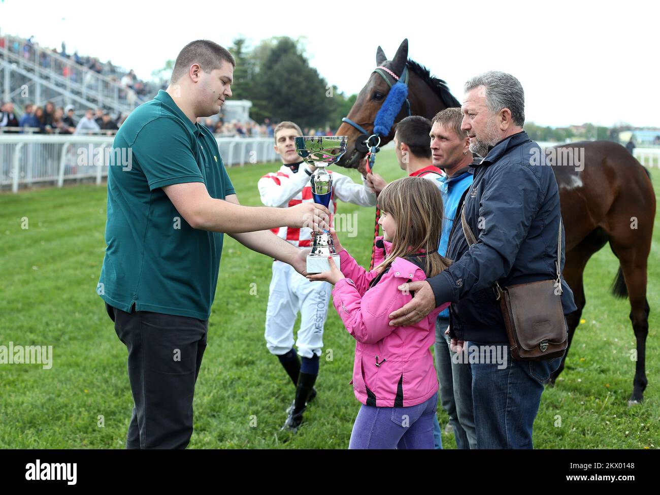 English thoroughbred horse hi-res stock photography and images - Alamy
