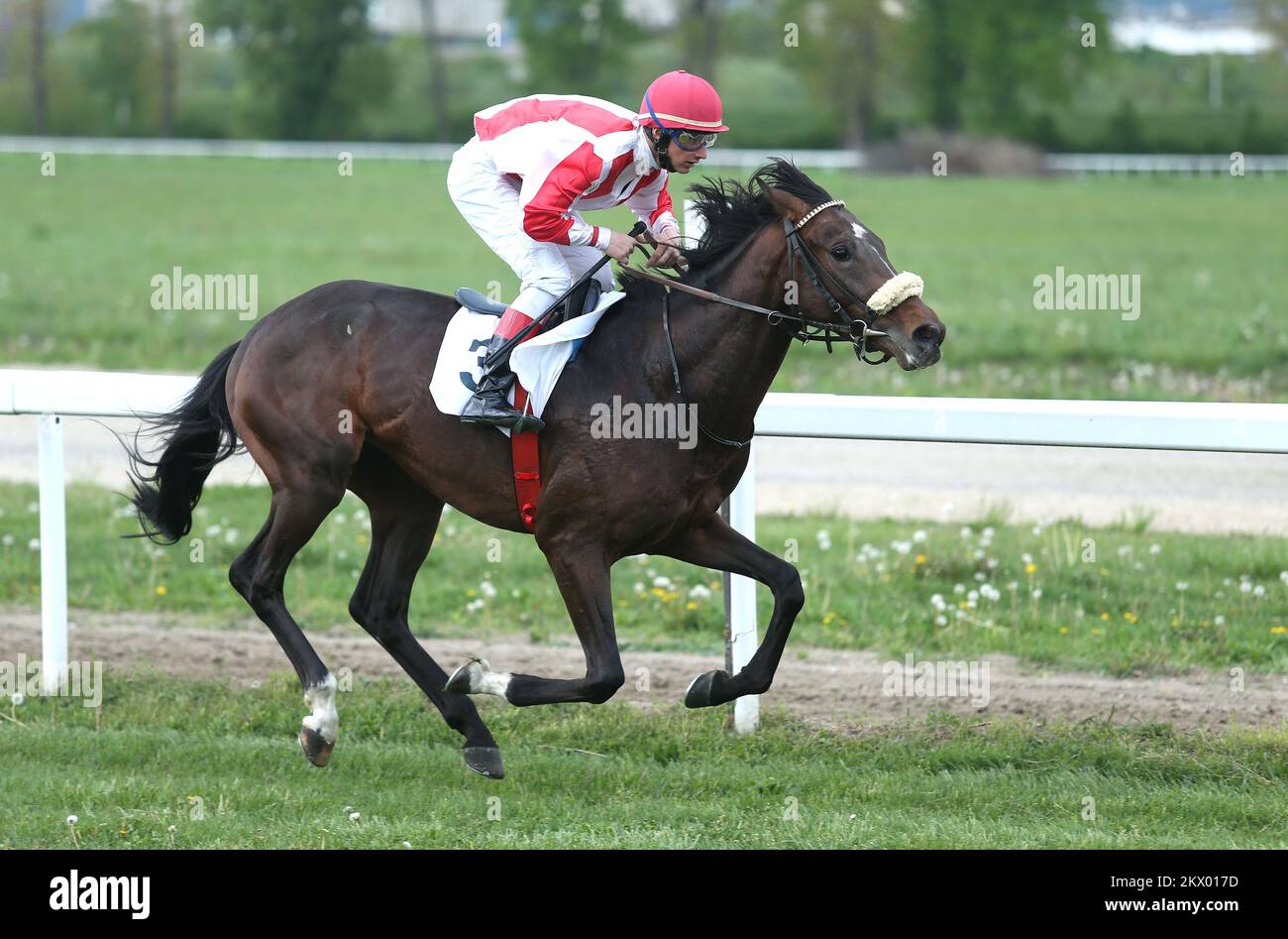 17.04.2017., Zagreb, Croatia - Easter gallop races at Hippodrome Zagreb ...