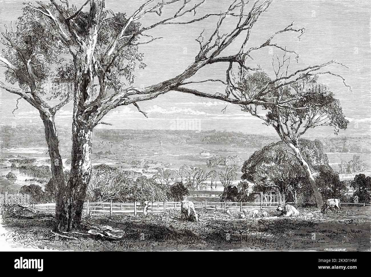 View of the Yarra Valley, Australian states of Victoria, Australia ...