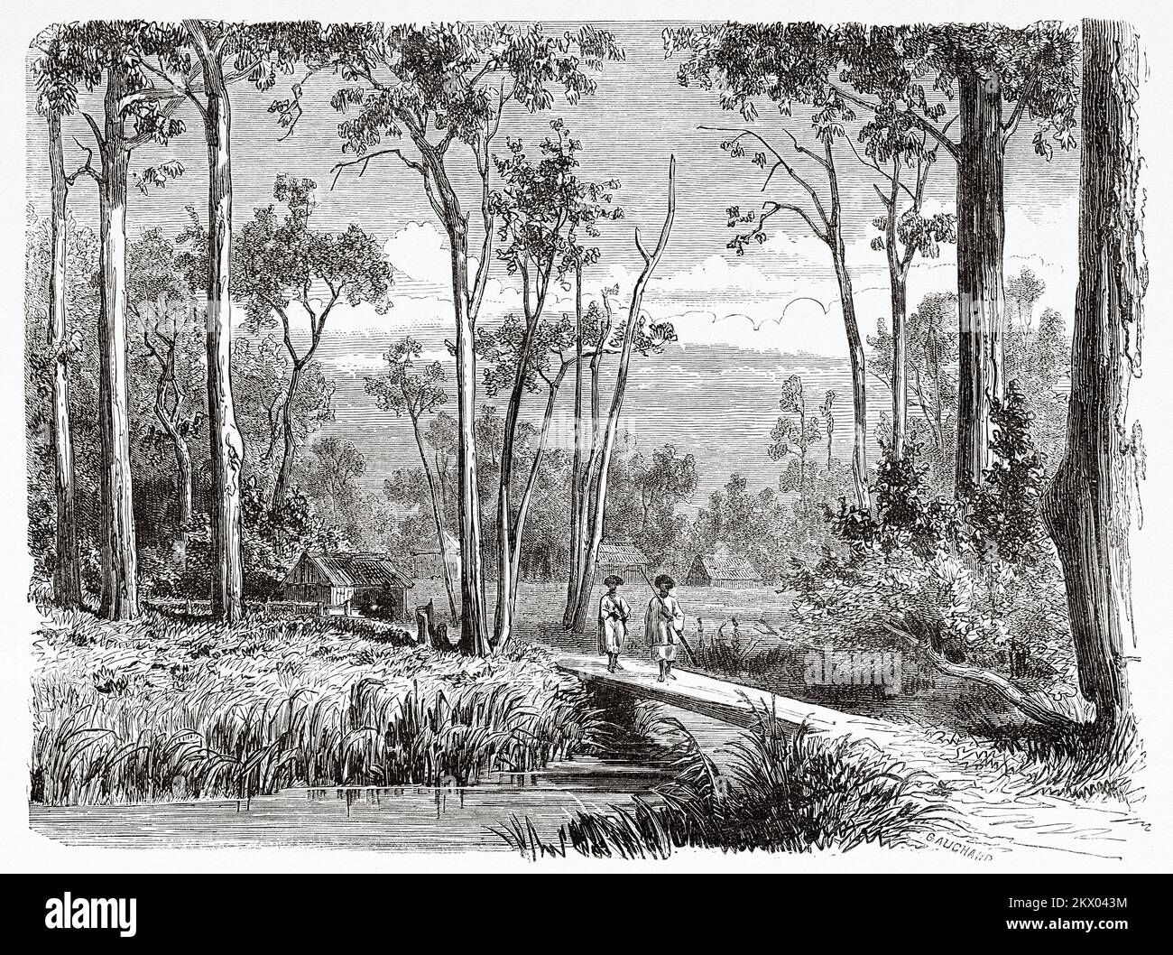 Old view of Dalry station, Australian states of Victoria, Australia ...