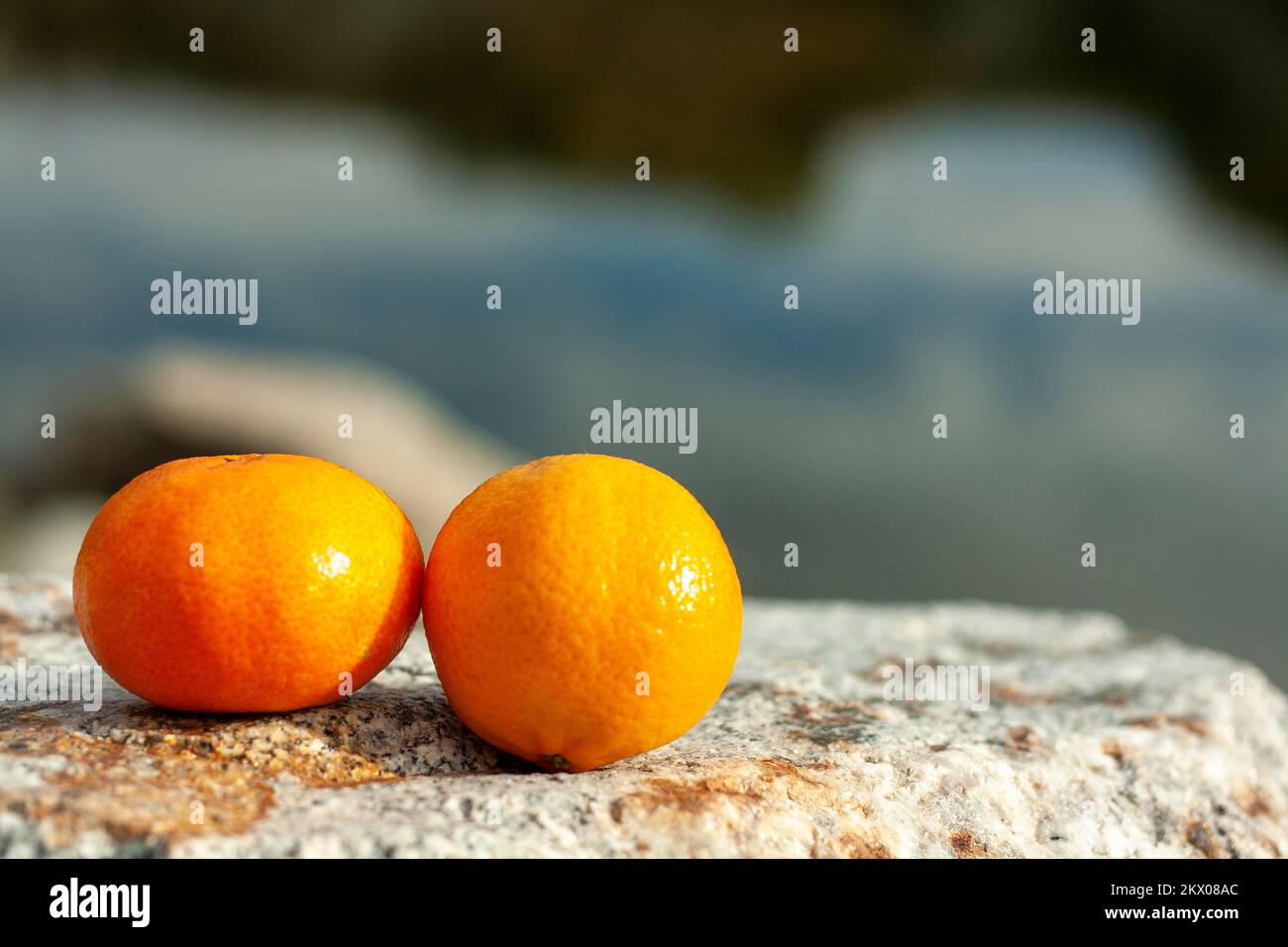 bright orange tangerines exposed in the middle of nature on a beautiful ...