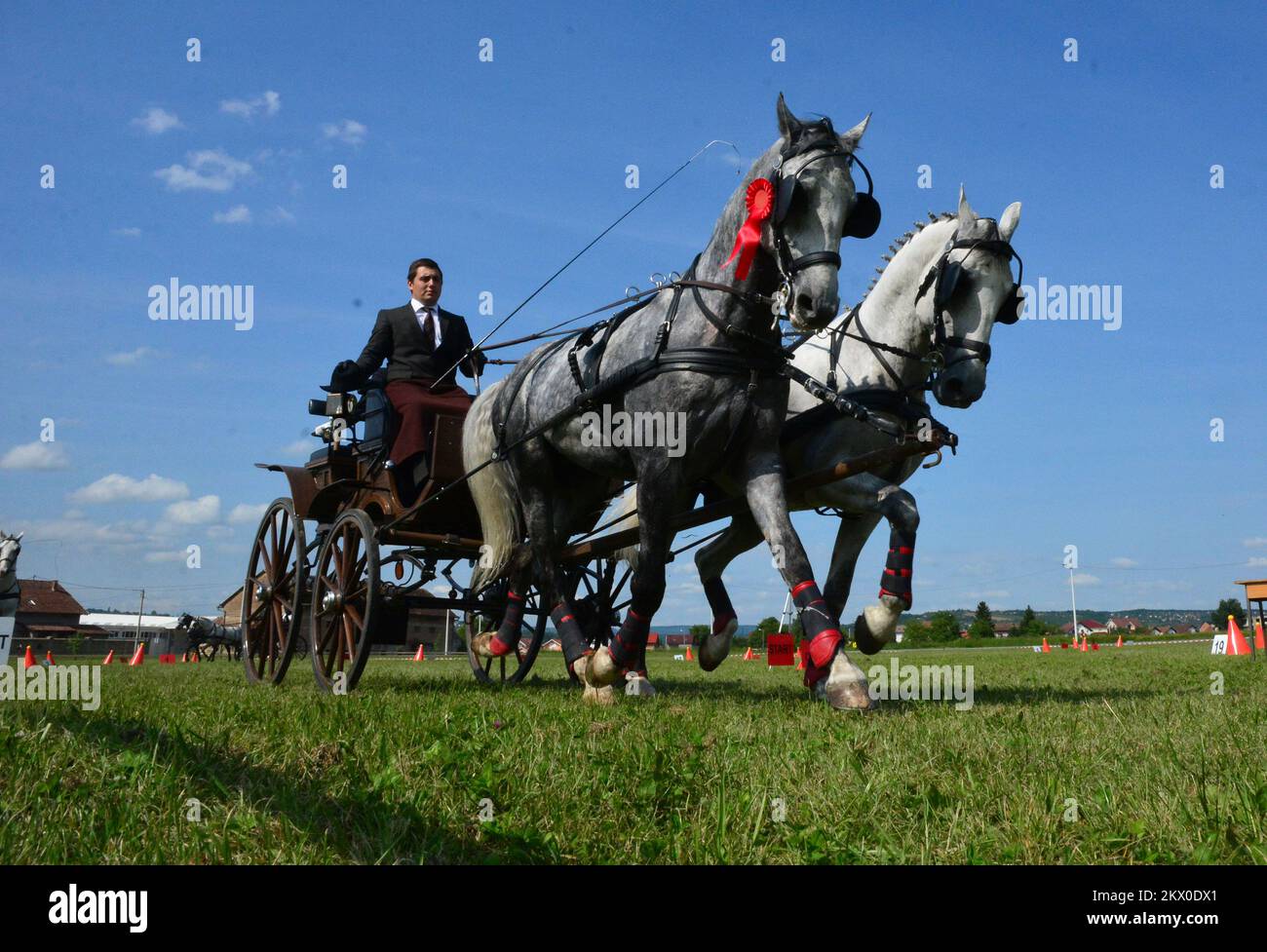 Panonica hi-res stock photography and images - Alamy