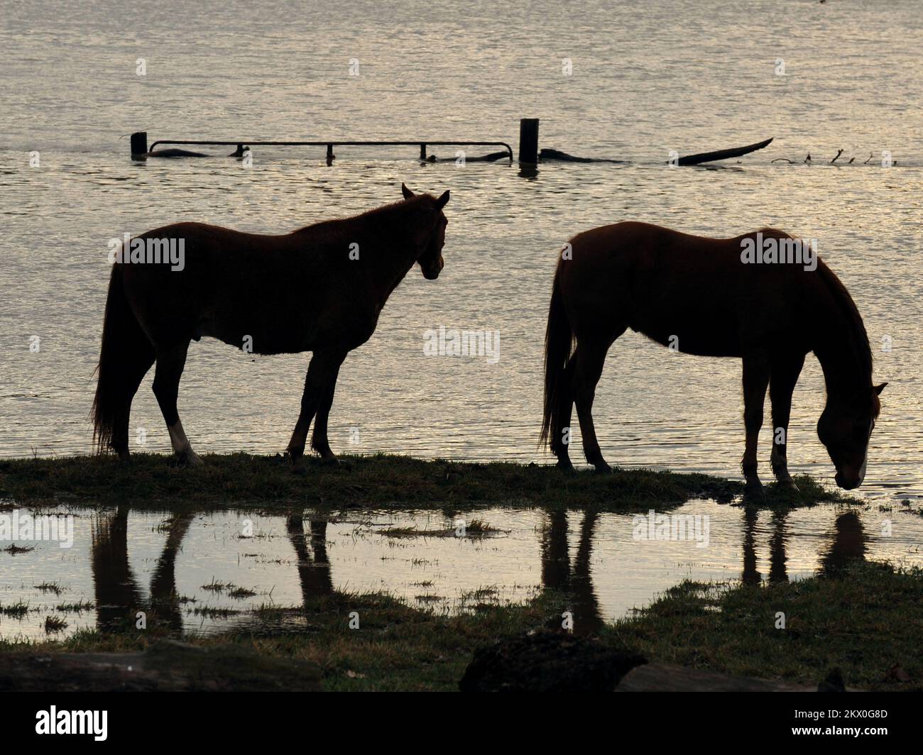 Pasture outreach hi-res stock photography and images - Alamy