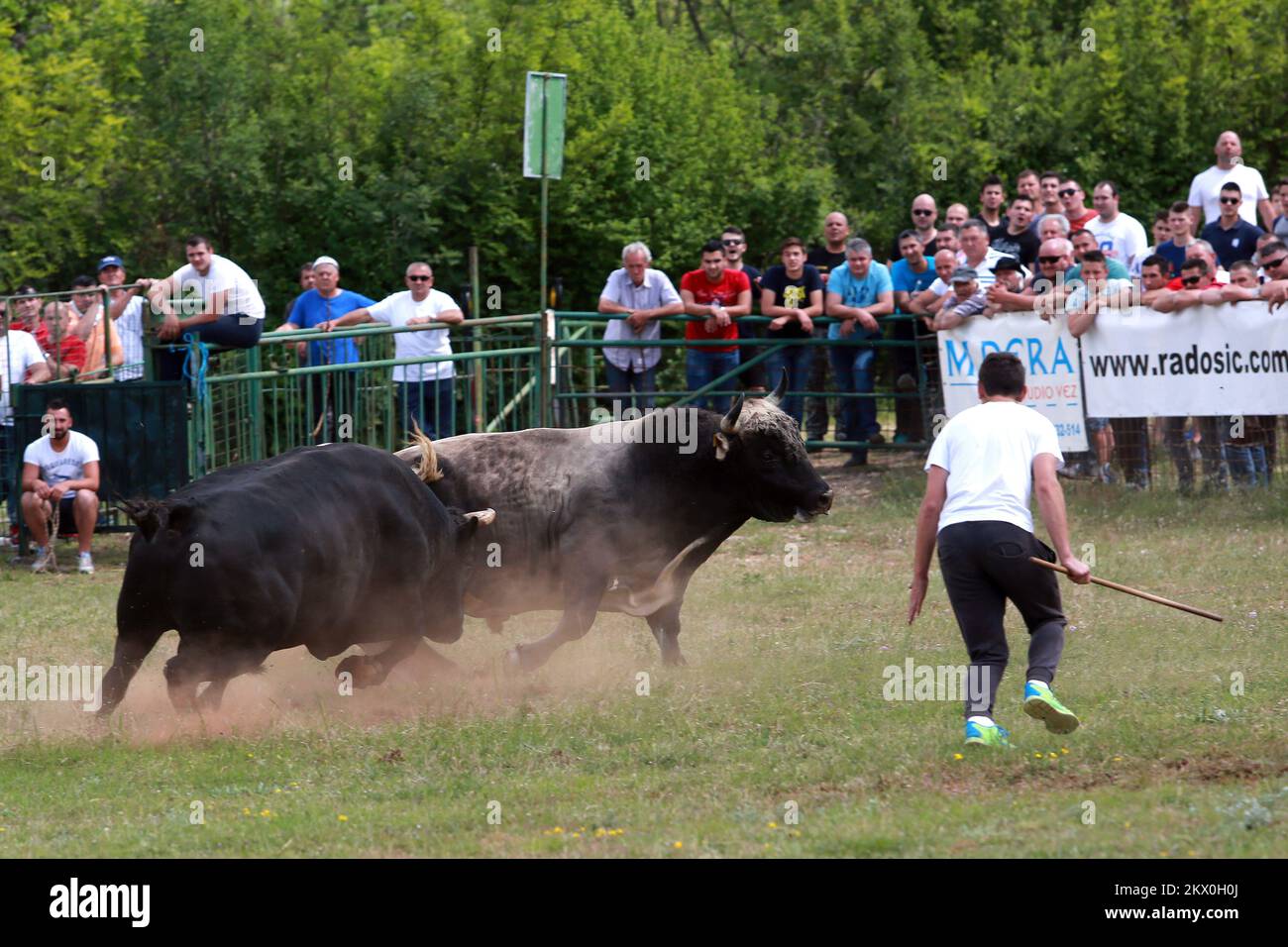 28.05.2017., Radosic, Croatia - 24th Village Olympics and Bullfighting ...