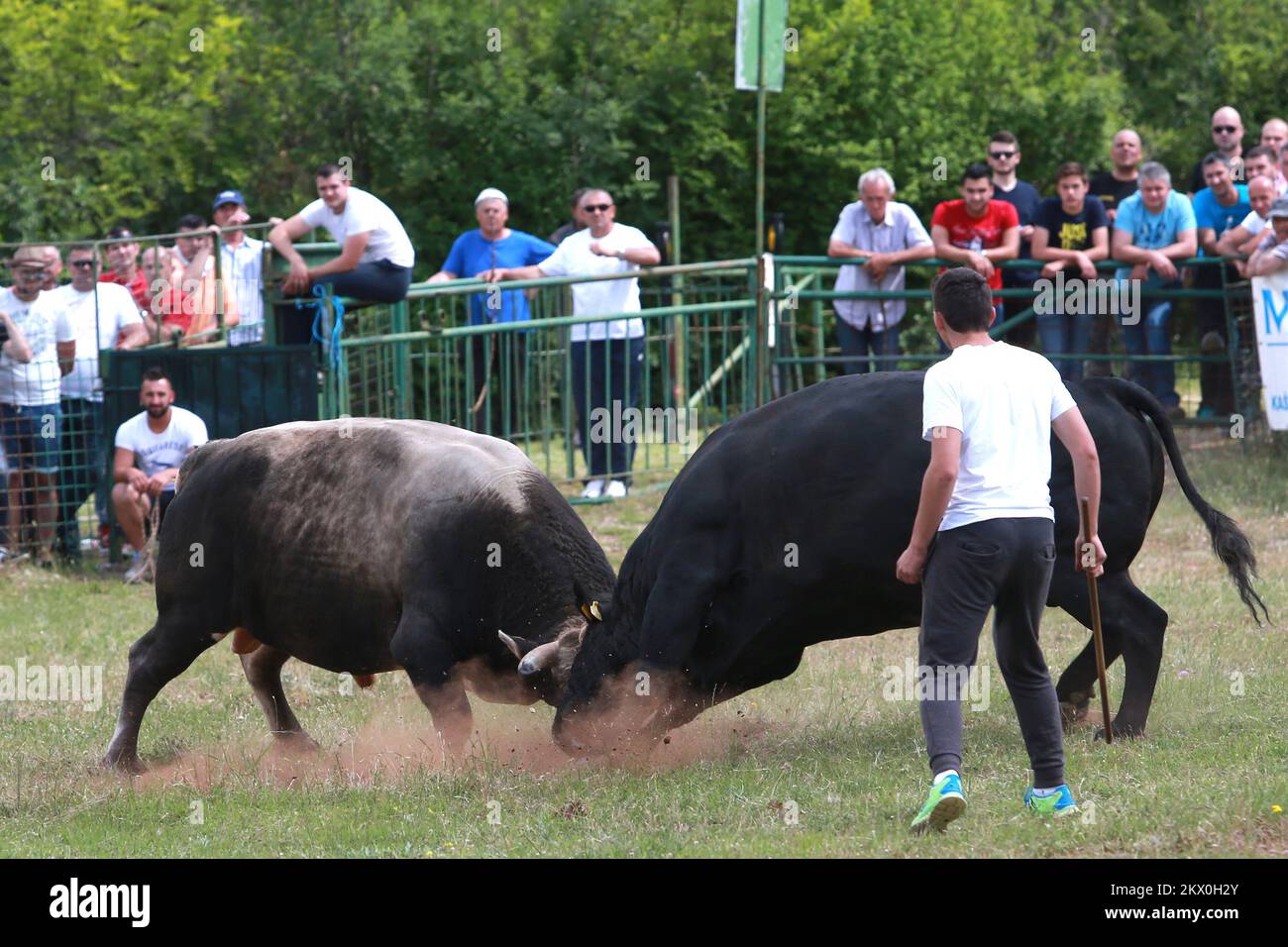 28.05.2017., Radosic, Croatia - 24th Village Olympics and Bullfighting ...
