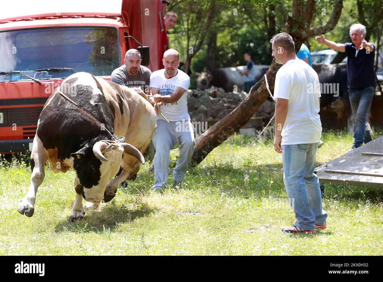 28.05.2017., Radosic, Croatia - 24th Village Olympics and Bullfighting ...