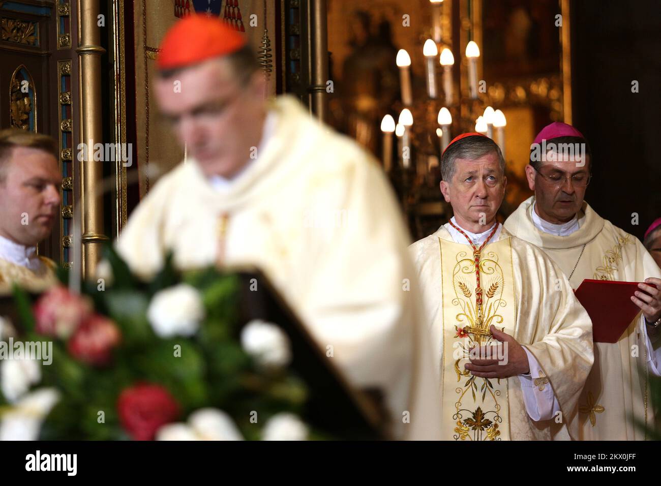 Croatian cardinal hi-res stock photography and images - Alamy
