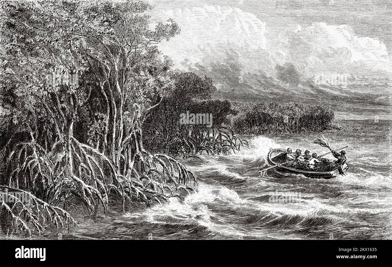 Mouth of the Sagnassu river, Brazil, South America. Journey of the ...