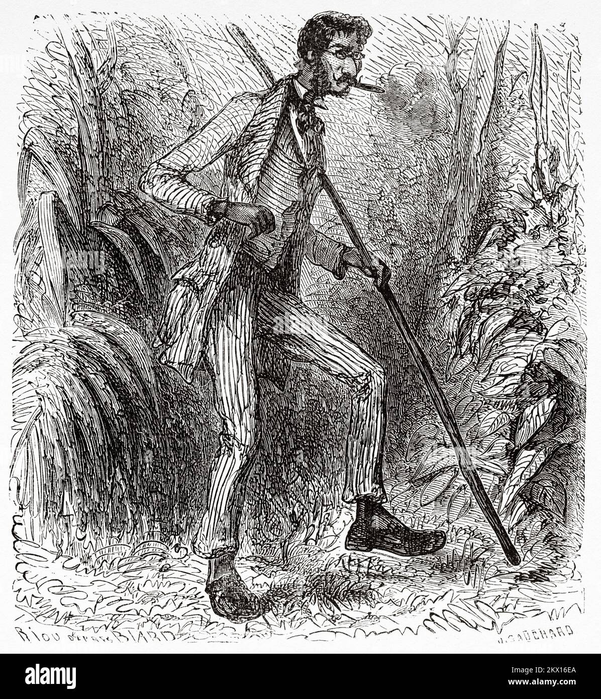 The host of Biard in Santa Cruz, Brazil, South America. Journey of the ...