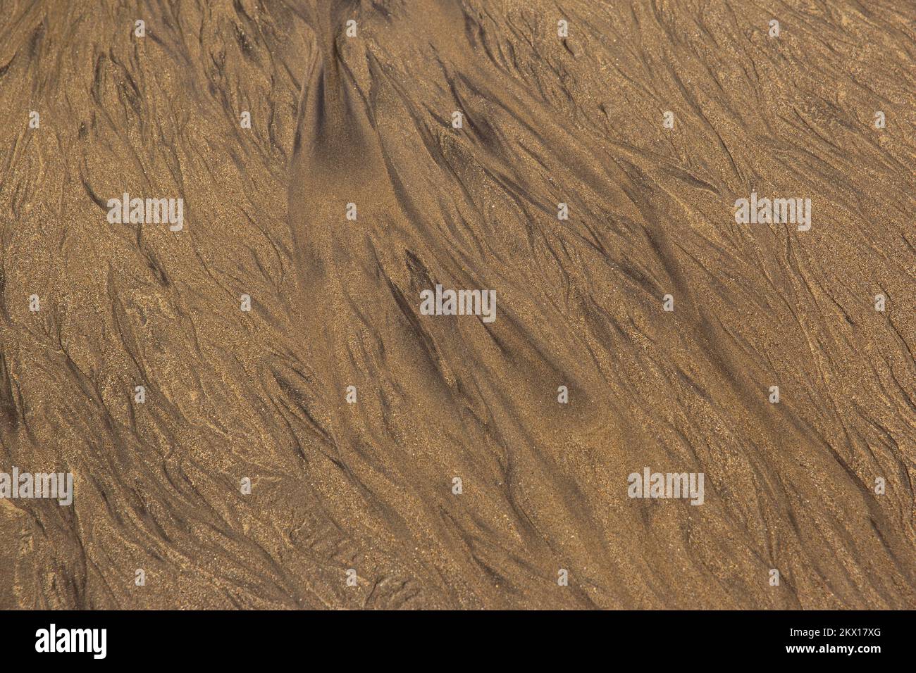 Fine beach sand in the summer sun. Sand texture. Sandy beach for ...