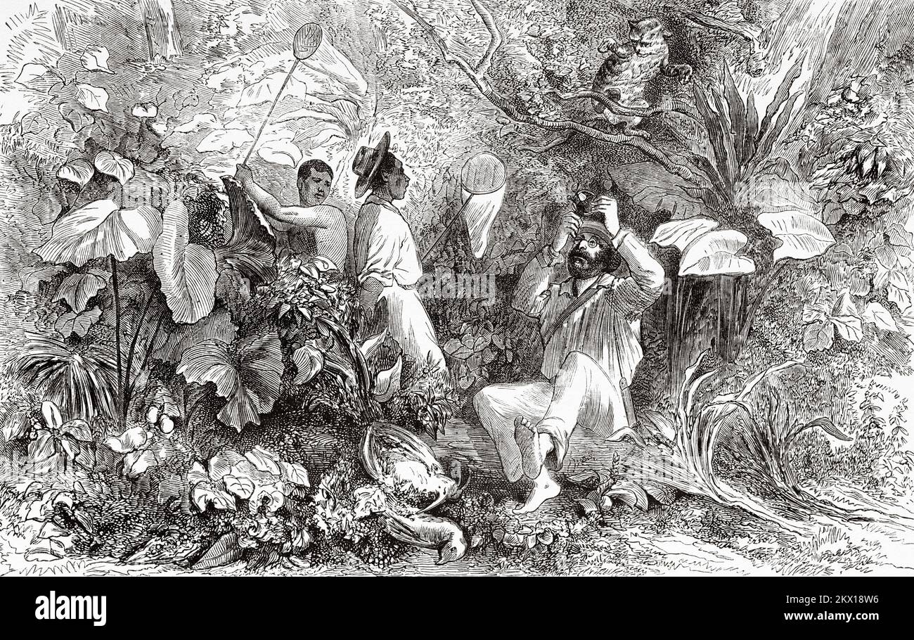 François auguste biard hi-res stock photography and images - Alamy